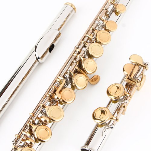 Glory Closed Hole C Flute With Case, Tuning Rod And Cloth,Joint Grease ...