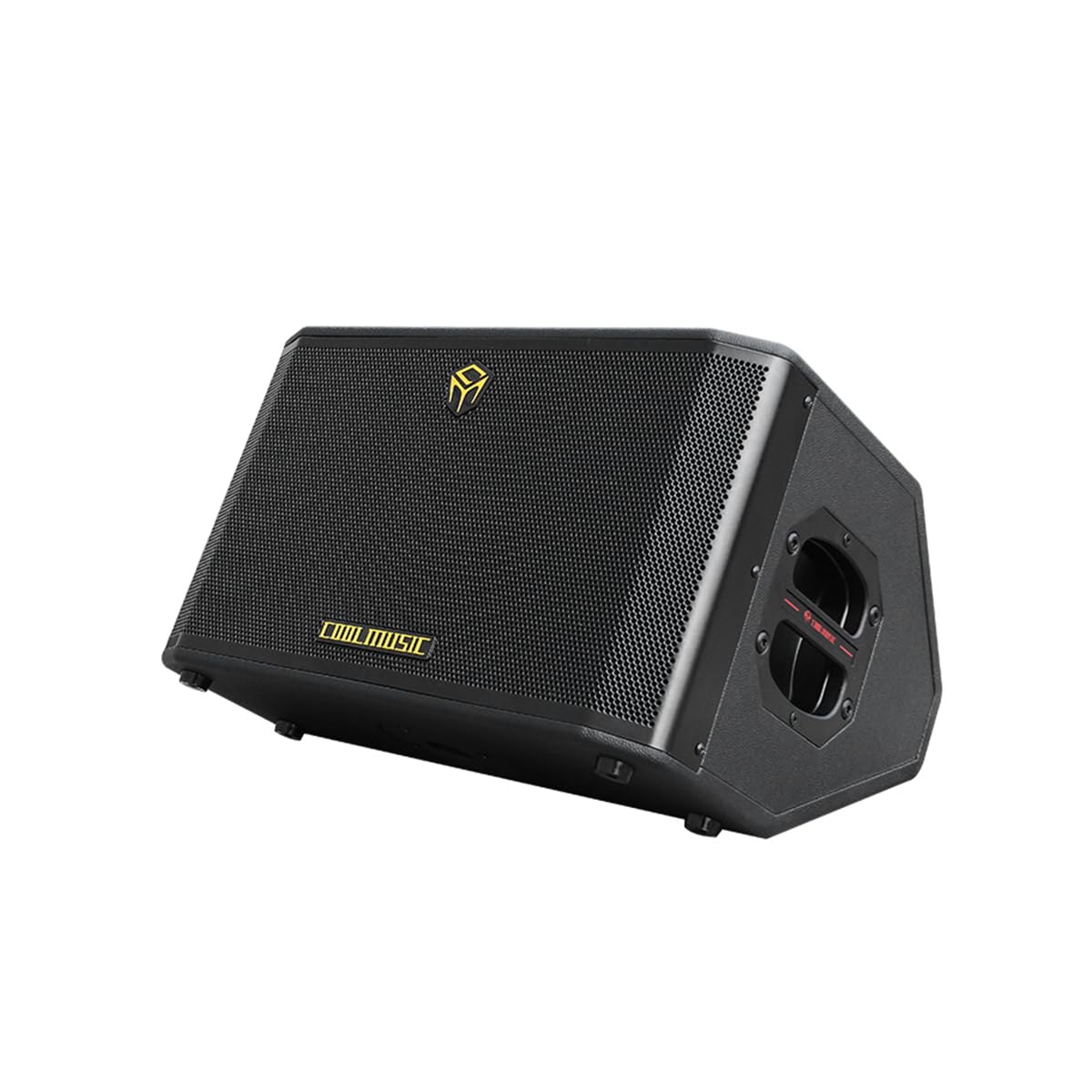 Coolmusic 300W Professional Acoustic Guitar Amp,Busking Amplifier PA S ...