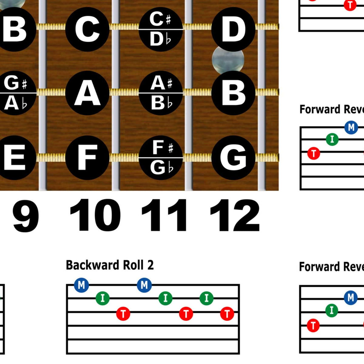 Dobro G Tuning Resonator Guitar Fretboard Note & Rolls Chart ...