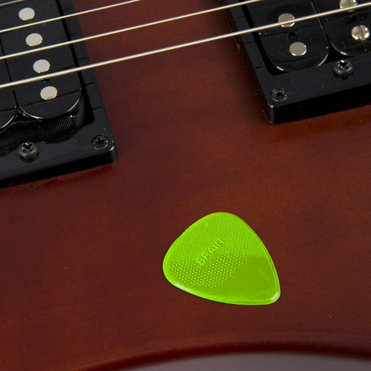 D'Andrea Snarling Dog Brain Nylon Guitar Picks 12 Pack With Tin Box ...